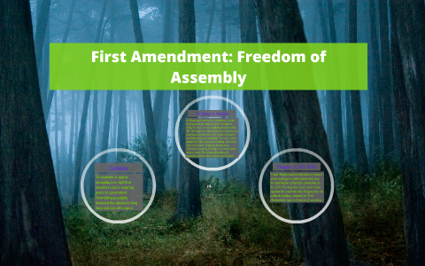 First Amendment: Freedom of Assembly by on Prezi