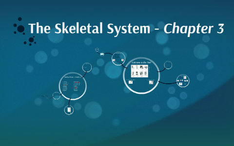The Skeletal System - Chapter 3 by Nico-lee du Plessis on Prezi
