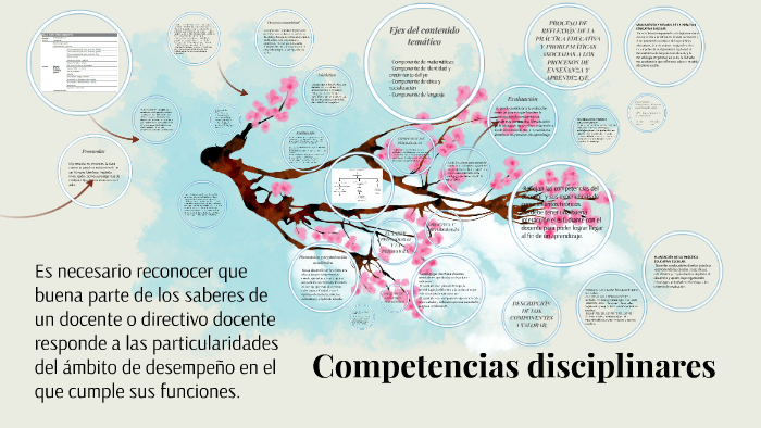 Competencias disciplinares by Wendy Catalina Gonzalez Jimenez on Prezi
