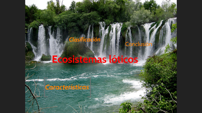 Ecosistemas lóticos by John Mario Díaz on Prezi