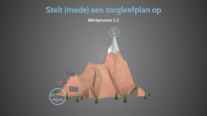 Stelt (mede) een zorgleefplan op by Wilma Viegen on Prezi