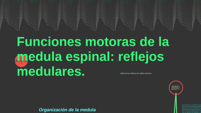 Funciones motoras de la medula espinal: reflejos medulares. by Jesús Castañeda on Prezi