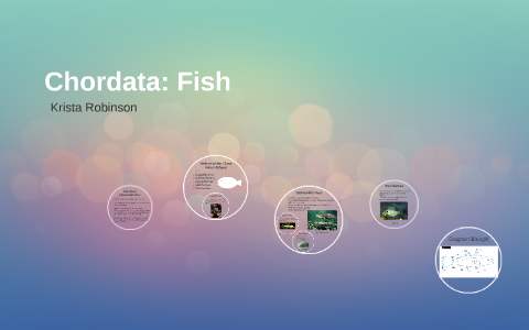 Chordata: Fish by Krista Robinson on Prezi