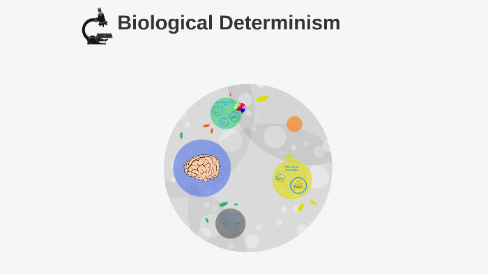 Biological Determinism by James Kitchen on Prezi