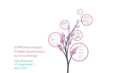 SOAPSTone Analysis by Sofia Braunstein on Prezi