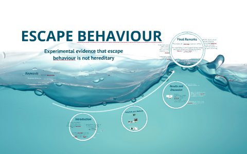 ESCAPE BEHAVIOR by Teresa Portela on Prezi
