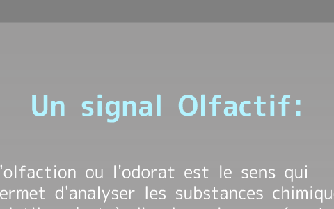 Signal Olfactif by Passoglio Jelsa on Prezi