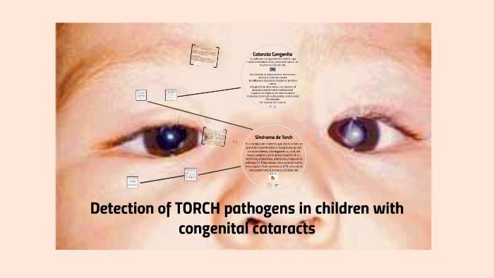 Detection of TORCH pathogens in children with congenital cat by Paola ...