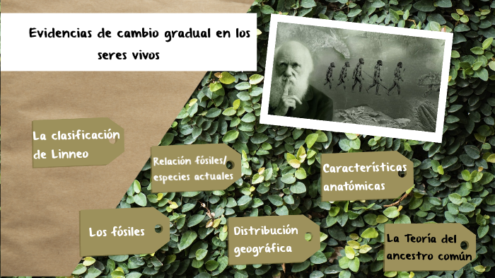 Evidencia del cambio gradual que sufrieron los seres vivos by Victoria ...
