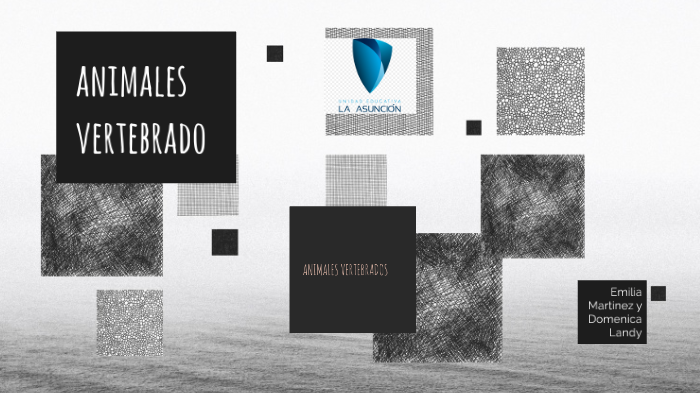 animales vertebrados landy-martinez noveno 2 by MARTINEZ ULLOA MARIA ...