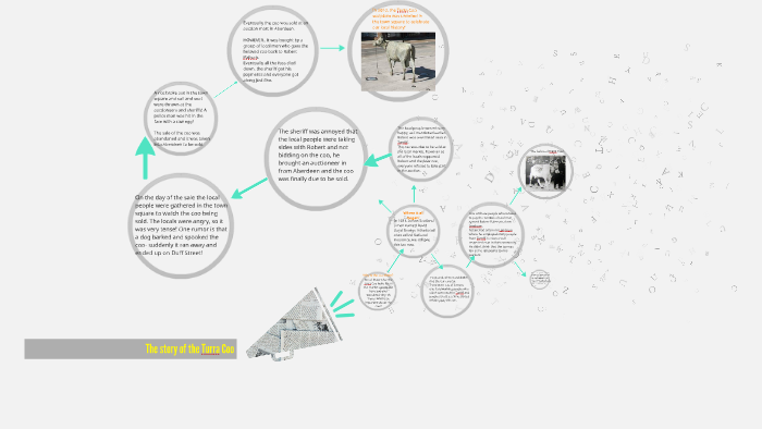 The story of the Turra Coo by on Prezi