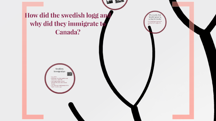 Swedish logging in 1800's by veronica monkman on Prezi