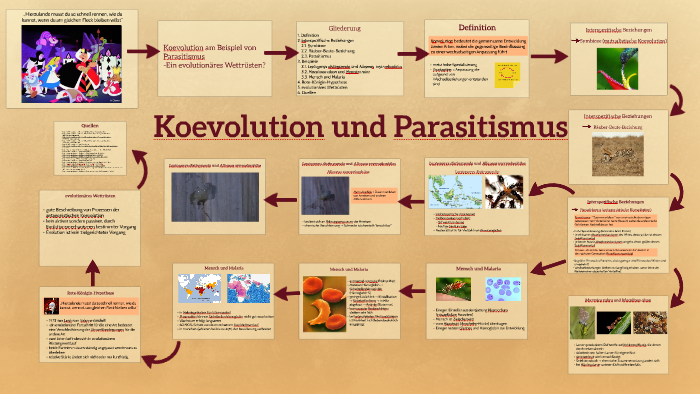 Koevolution und Parasiten- by on Prezi