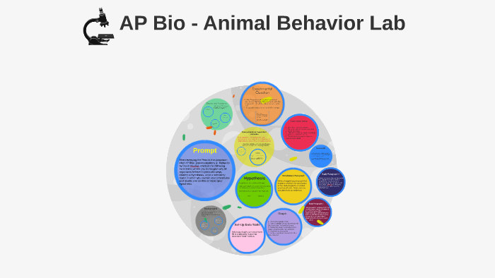 AP Bio - Animal Behavior Lab by Melinda Pecina-Bernal on Prezi