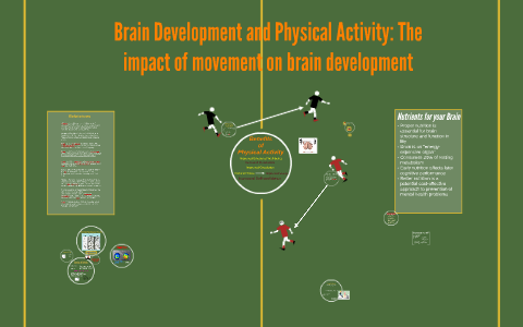 (Human Growth Assignment) Brain Development and Physical Activity: by ...