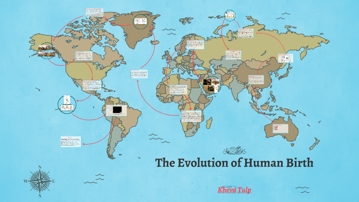 The Evolution of Infant Mortality and Human Birth by kheva tulp on Prezi