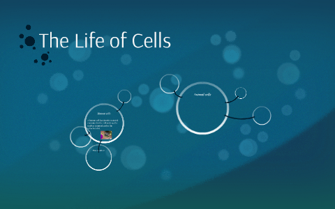 The Life of Cells by Daybriana Andrews on Prezi
