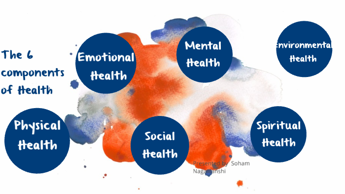The 6 Components Of Health By Soham Nagawanshi