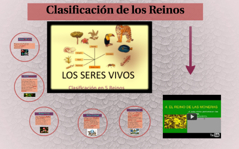 Clasificación de los Reinos by Carolina Mariano on Prezi