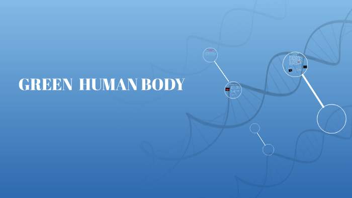 green human body by Lily Winder