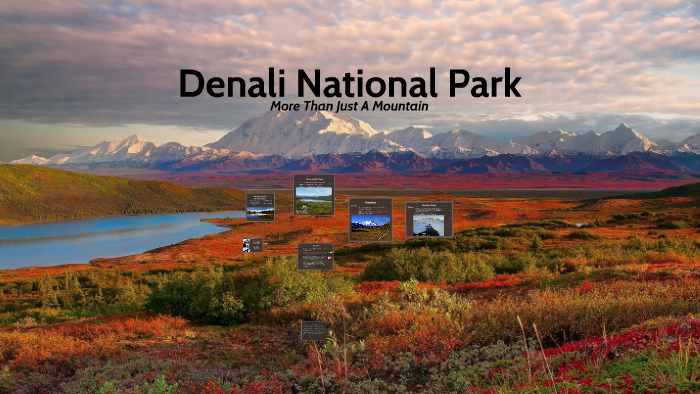 Denali National Park by Ryan Matsuo on Prezi