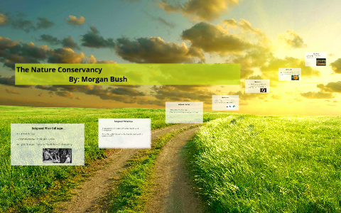 The Nature Conservancy by Morgan Bush on Prezi
