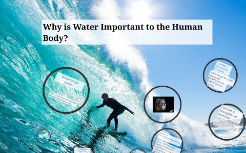 Why is Water Important to the Human Body? by Byrne Kennedy on Prezi