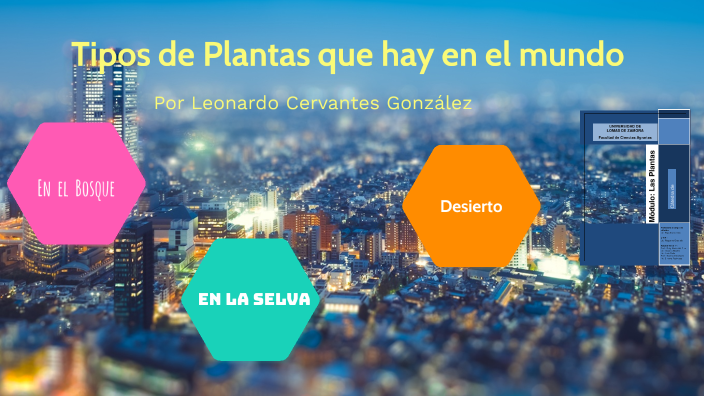 Tipos de Plantas que hay en el mundo by Leonardo Cervantes on Prezi