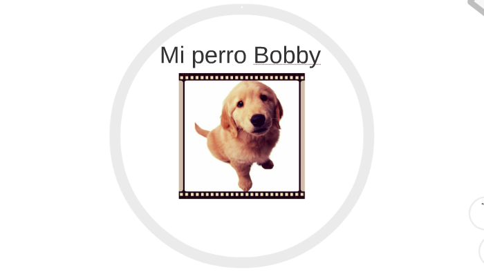 Mi perro Bobby by Maria Paz Montero on Prezi