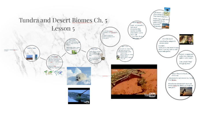 Tundra and Desert Biomes Ch. 5 Lesson 5 by Matt Socci on Prezi