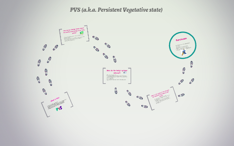 PVS (a.k.a. Persistent Vegetative State by Sally on Prezi