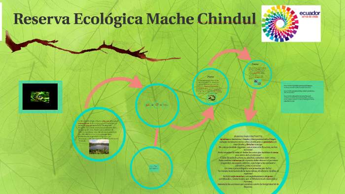 Reserva Ecológica Mache Chindul by David Cobo on Prezi