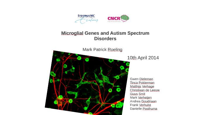 Microglia and Autism Spectrum Disorders by Mark Patrick Roeling on Prezi