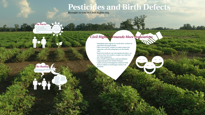 Pesticides and Birth Defects by Savanna Martensen on Prezi
