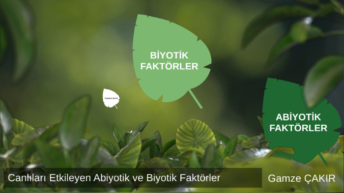 Abiyotik Faktörler Resimleri