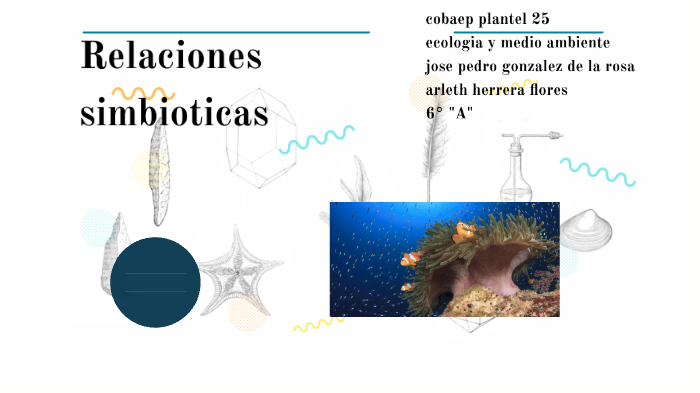 relaciones simbioticas by arleth herrera on Prezi