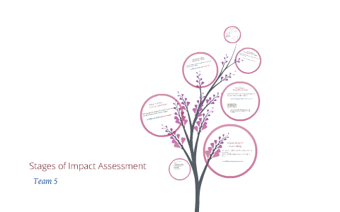 Stages of Impact Assessment by Theresa Hall on Prezi