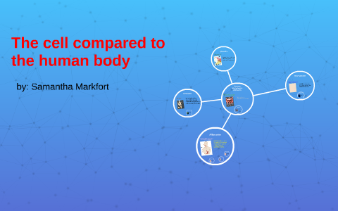 the cell compared to the human body by Samantha markfort on Prezi