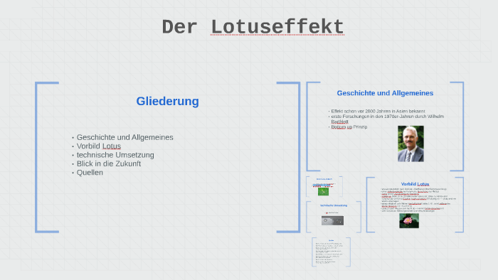 Der Lotuseffekt by Toni Schlegel on Prezi