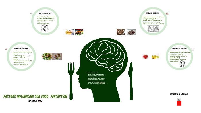 Food perception by Simon Knez on Prezi