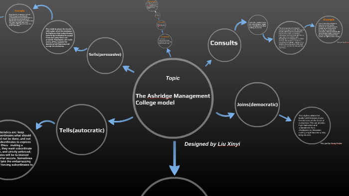 The Ashridge Management College model by Kera Liu on Prezi