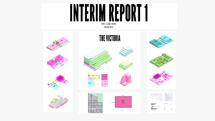 INTERIM REPORT 1 by on Prezi