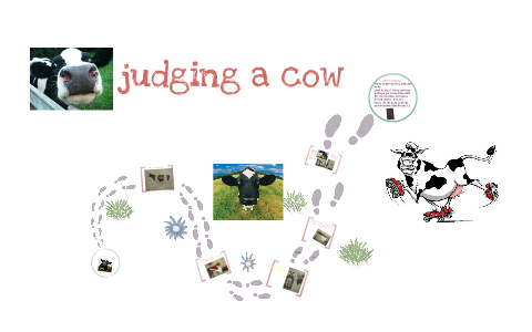 How to judge a cow by Class LearningStrategies on Prezi