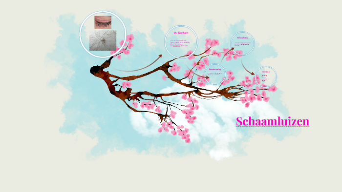 schaamluizen by Charlotte Van de Voorde