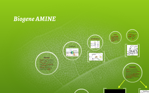 Biogene AMINE by Asil Reader on Prezi