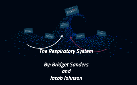The Respiratory System by Bridget Sanders on Prezi