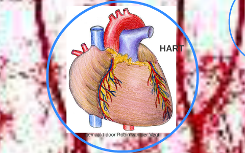 HART by Wim van der Vegt on Prezi