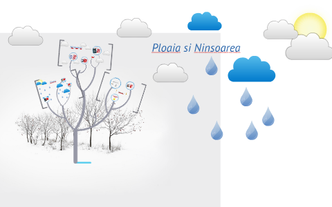 Ploaia si Ninsoarea by Iulia Andreea on Prezi