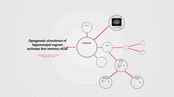 Hippocampus Optogenetic stimulation of hippocampal engram ac by Megan ...