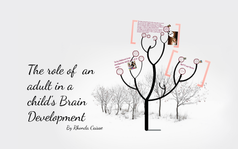Brain Development & The role of the Adult by Rhonda Caisse on Prezi